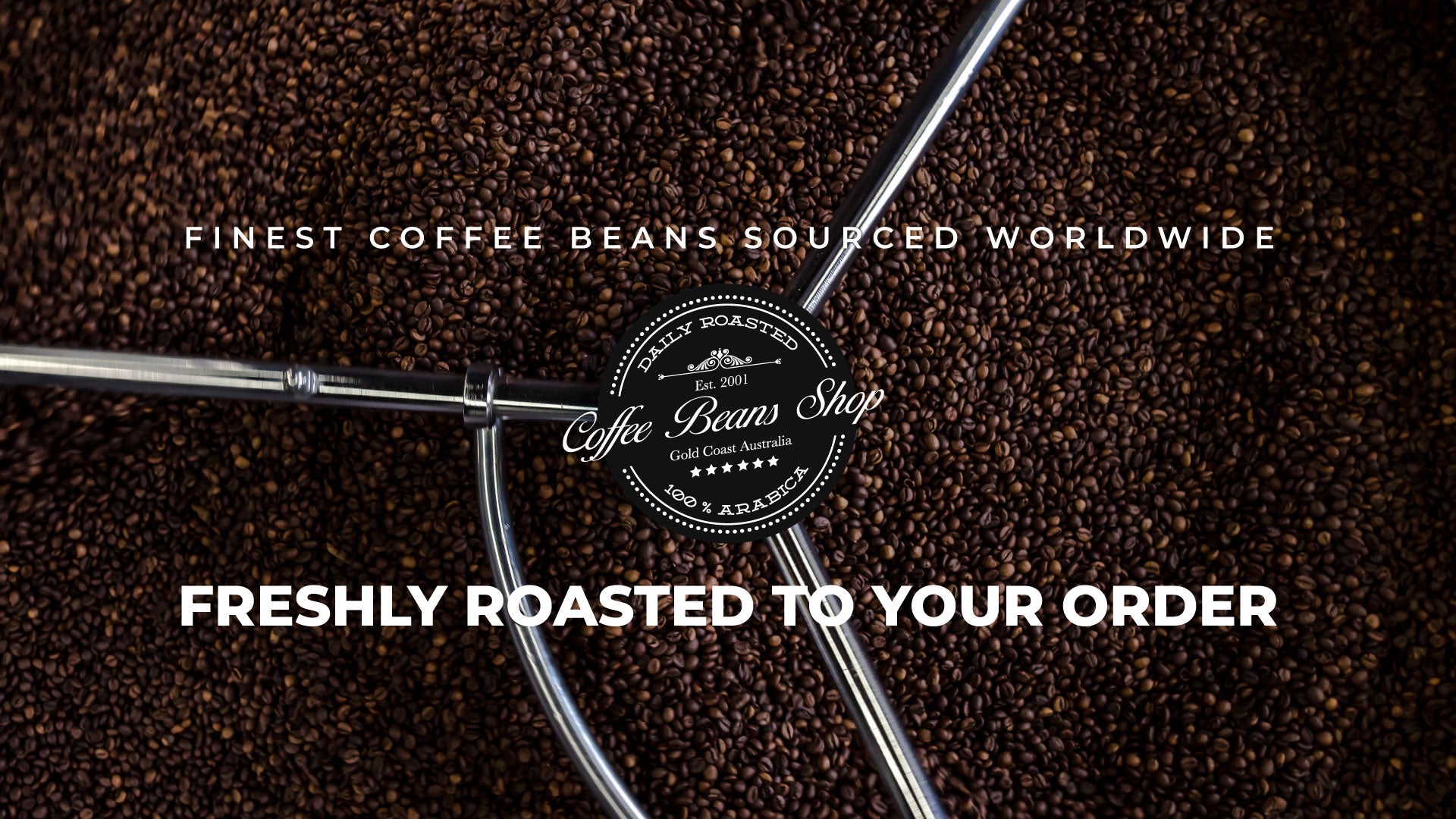 Buy Daily Roasted Coffee Beans Australia – Coffee Beans Shop